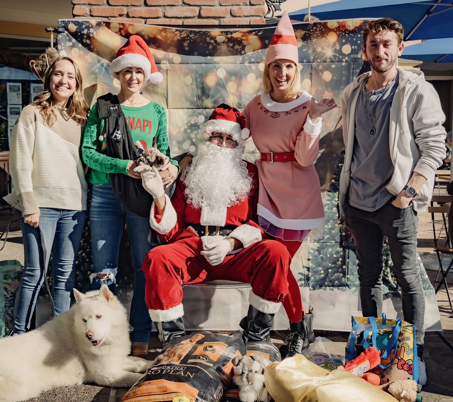 Santa Paws Hanks Calabasas | Holly & Chris Luxury Homes